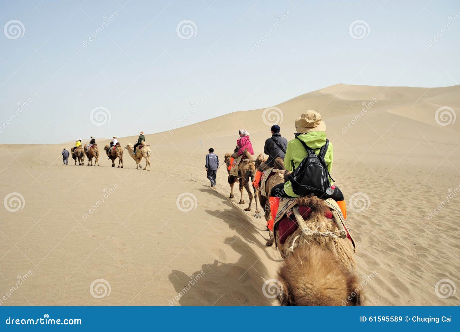Camel Team in Singing Sands Mountain Editorial Stock Image - Image of ...