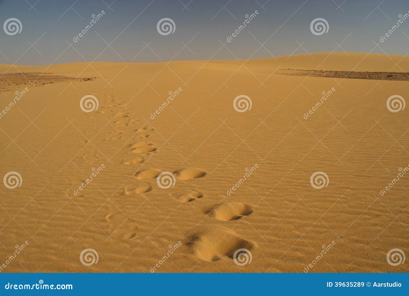 Camel traces in the desert stock image. Image of close - 39635289