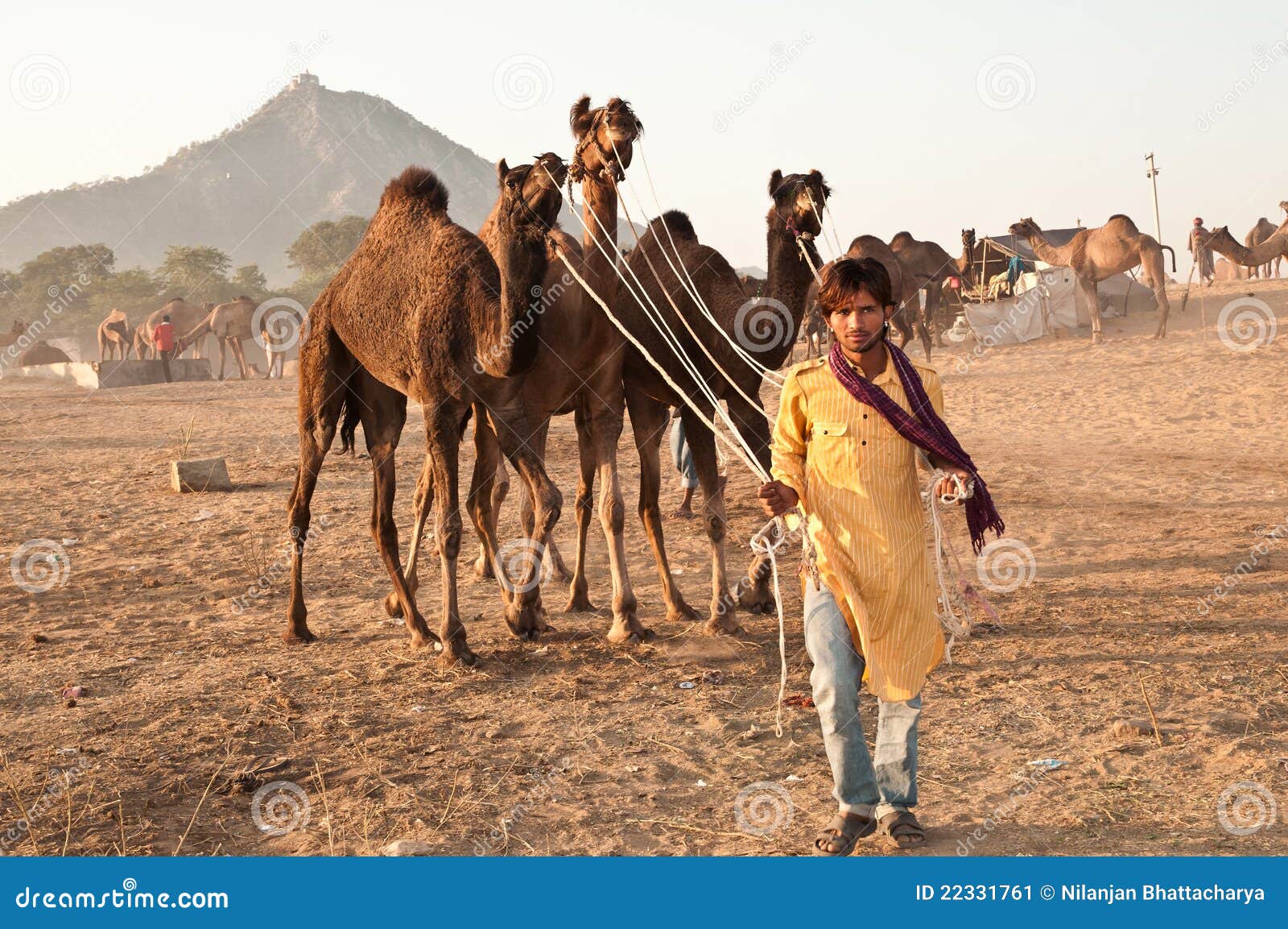 Camel trader at Pushkar editorial photo. Image of pushkar - 22331761