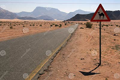 Camel Traffic Sign stock photo. Image of camel, desert - 14599146