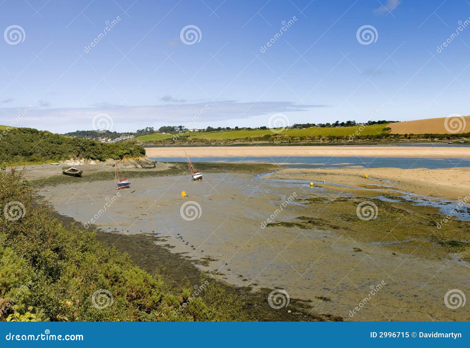 Camel trail stock image. Image of estuaries, england, scenic - 2996715