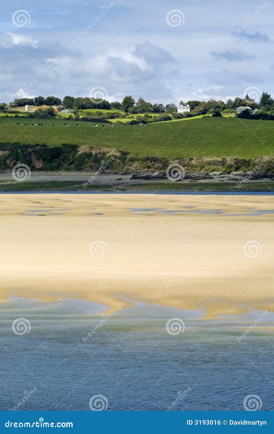 Camel trail stock photo. Image of england, country, scenics - 3193016