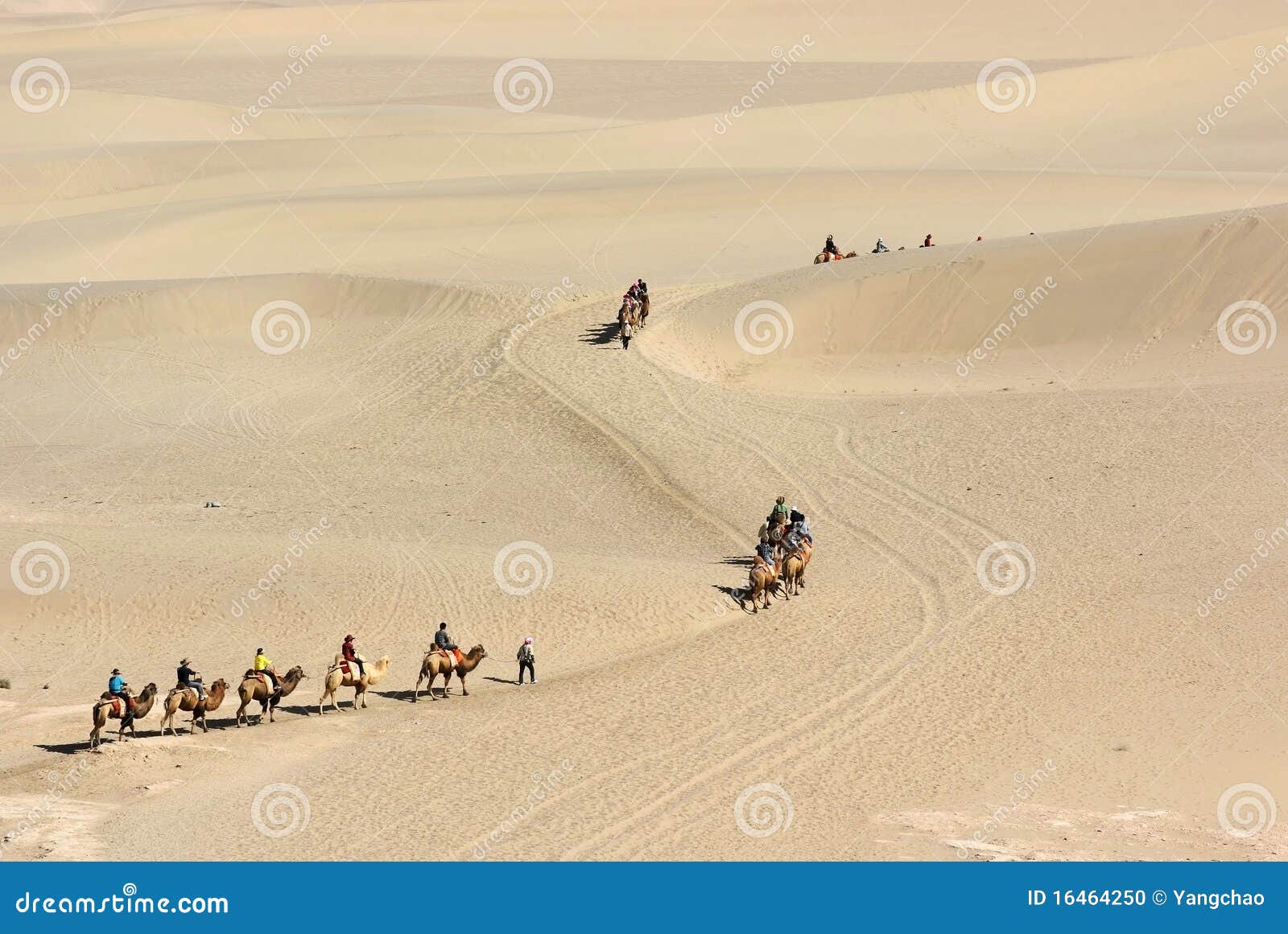 Camel train in desert stock photo. Image of trains, carry - 16464250