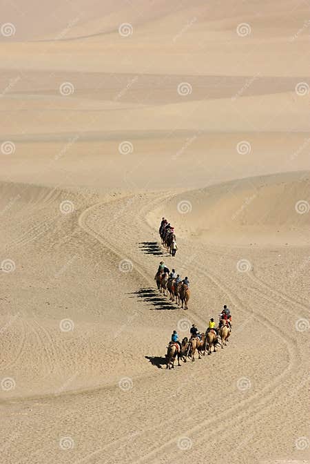 Camel train in desert stock image. Image of orient, camels - 16464307