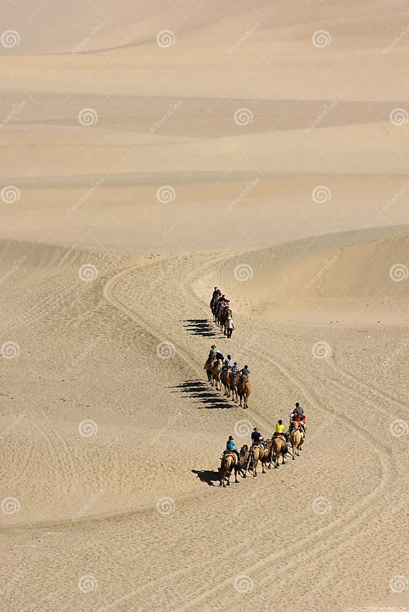 Camel train in desert stock image. Image of orient, camels - 16464307