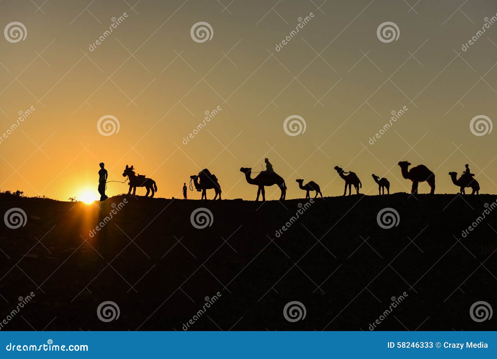 Camel train editorial stock photo. Image of migration - 58246333