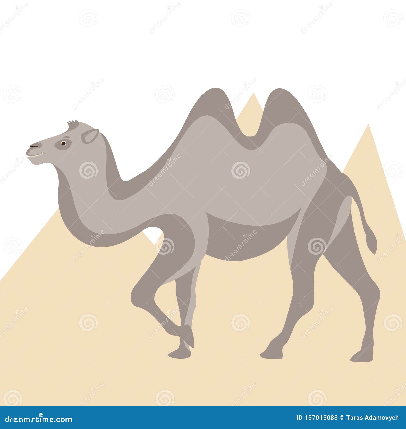 Camel Vector Illustration , Flat Style, Profile View Stock Vector ...