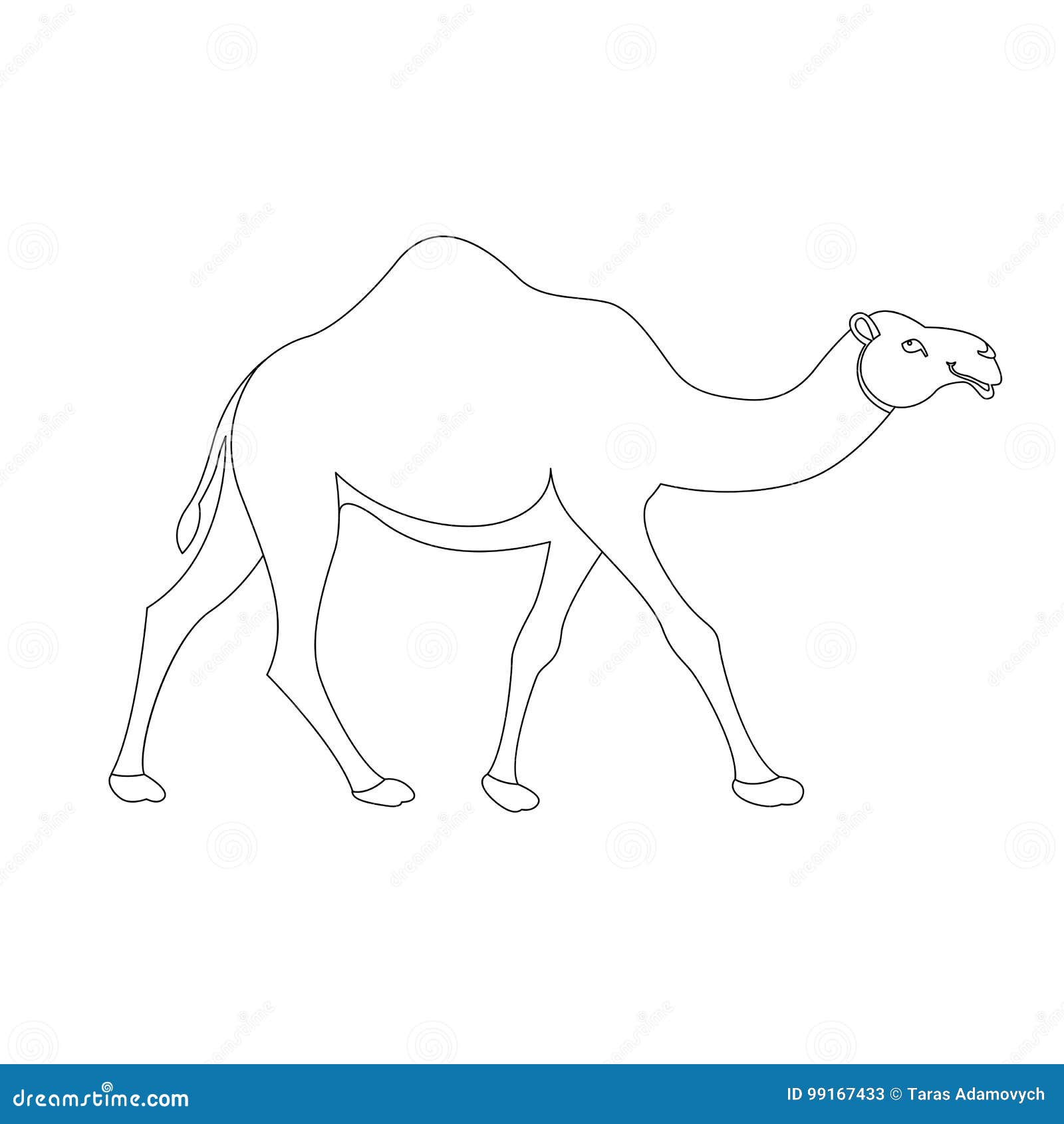 Camel vector illustration stock vector. Illustration of travel - 99167433