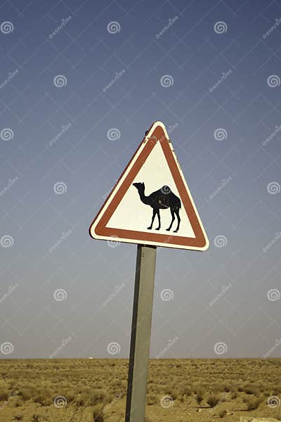 Camel warning sign stock photo. Image of brown, landscape - 15596372