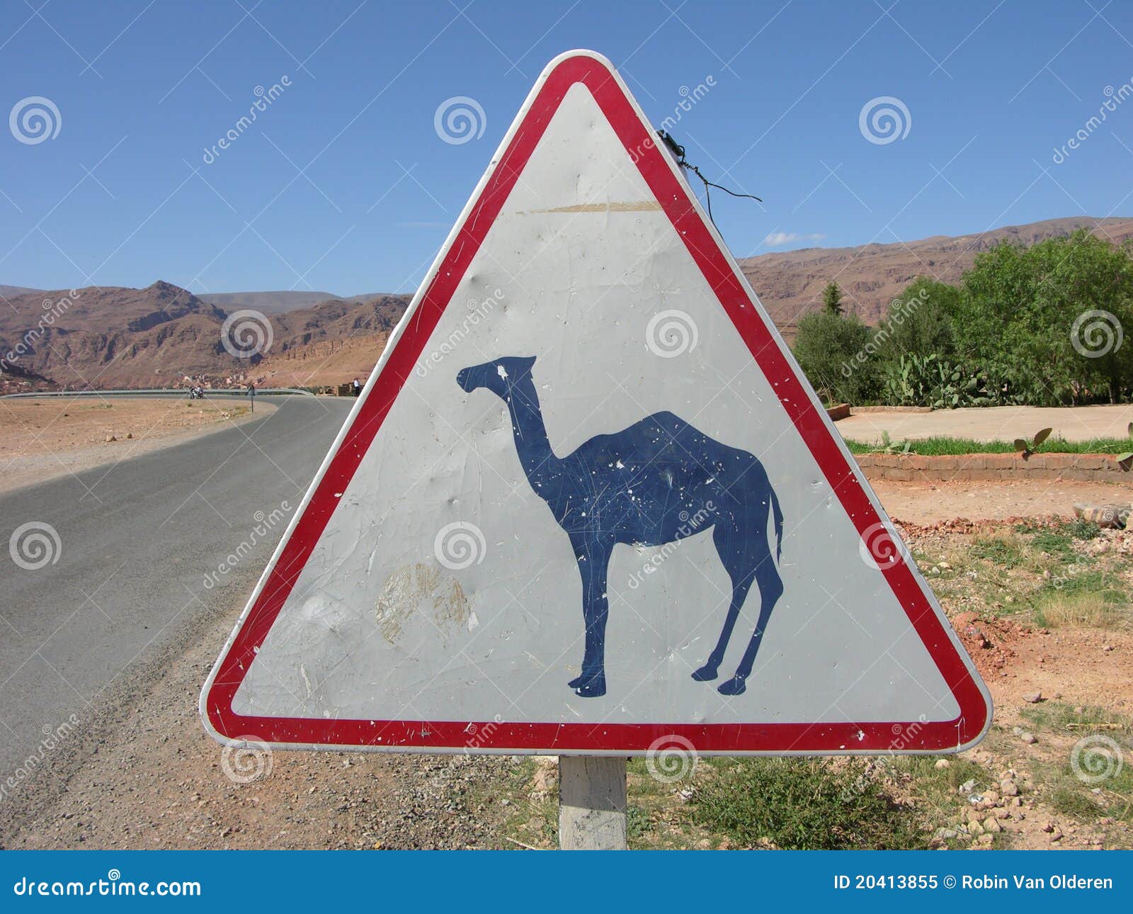 Camel Warning Sign Stock Photography | CartoonDealer.com #4933064