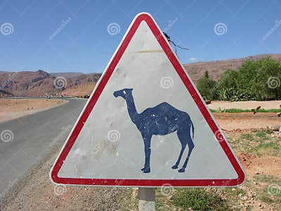 Camel warning sign stock image. Image of camels, desert - 20413855