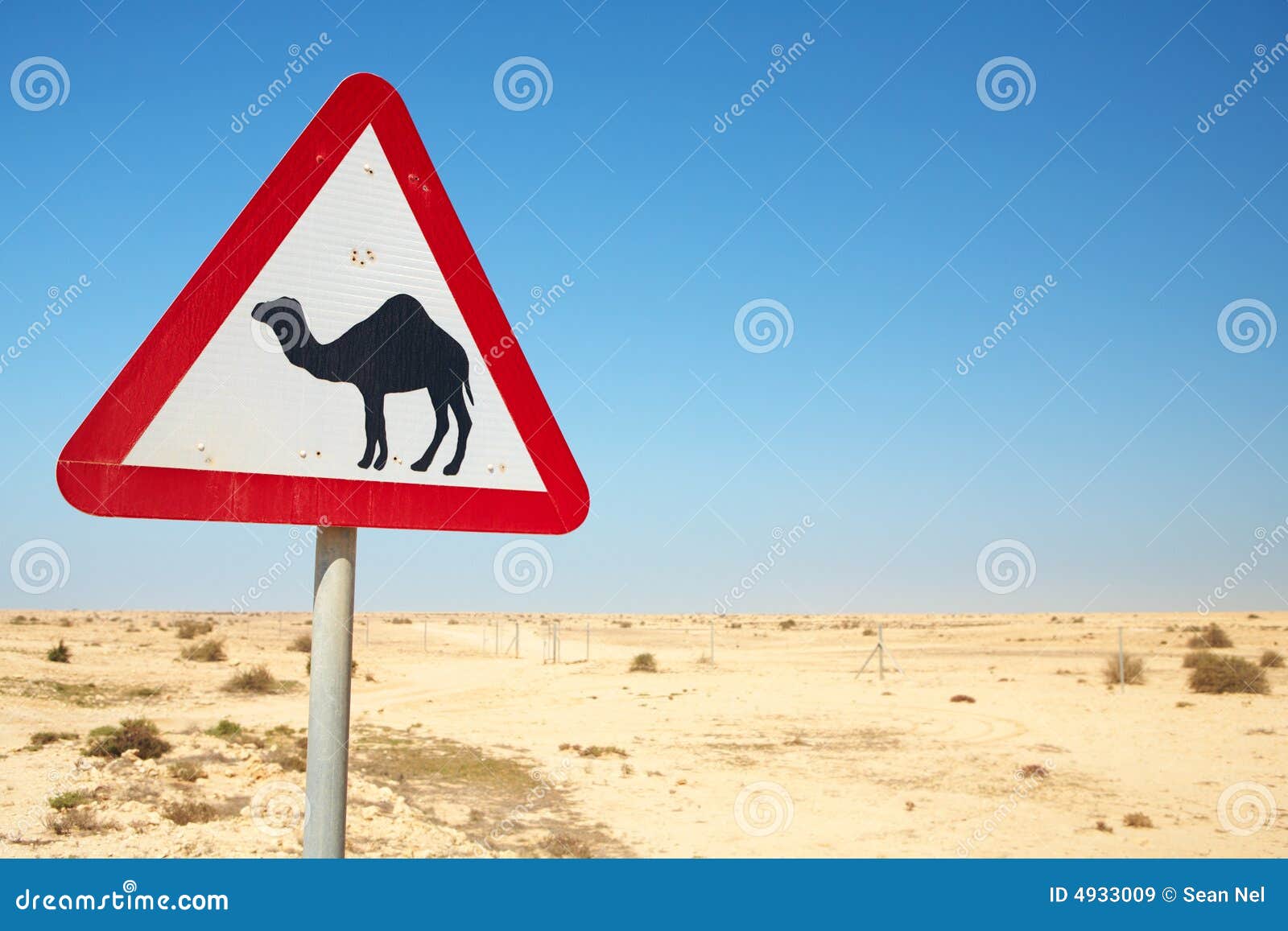 Camel Warning Sign Stock Image | CartoonDealer.com #4933009