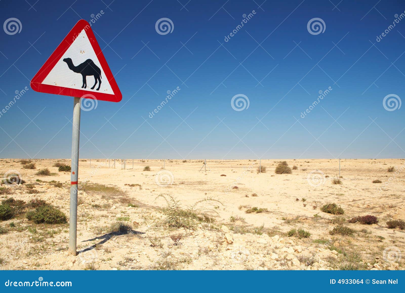 Camel warning sign stock photo. Image of camel, warning - 4933064