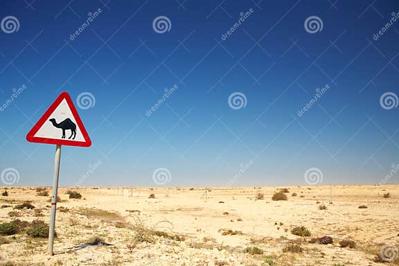 Camel warning sign stock photo. Image of east, crossing - 5283628