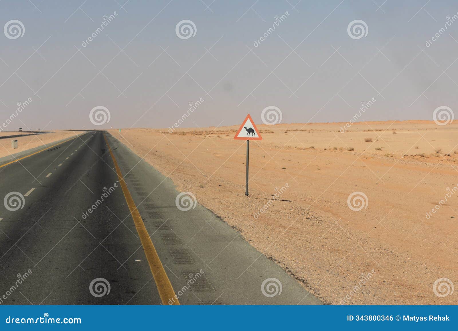 Camel Warning Sign on a Highway in Saudi Arab Stock Photo - Image of ...