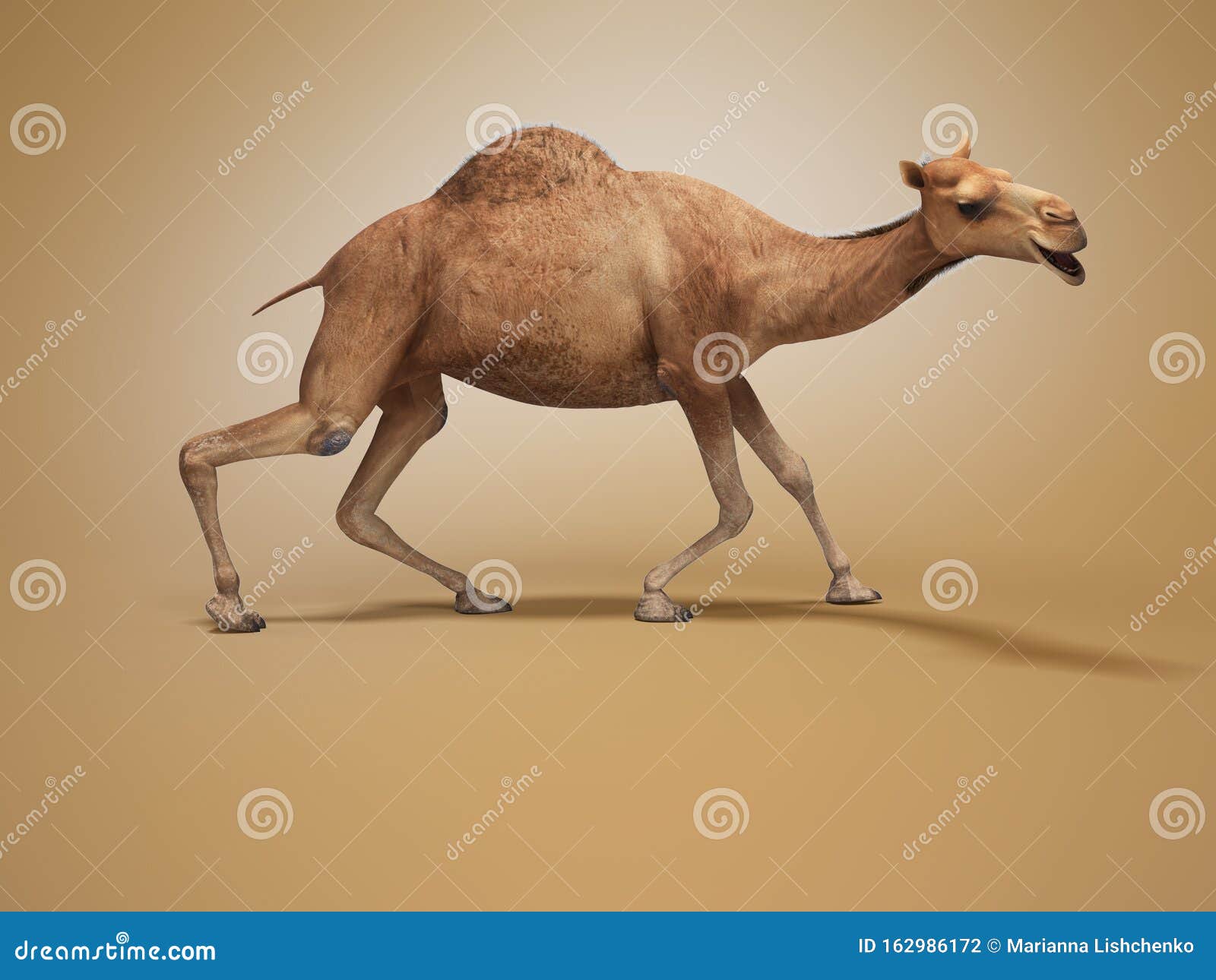 Camel on Weak Legs 3d Rendering on Orange Background with Shadow Stock ...