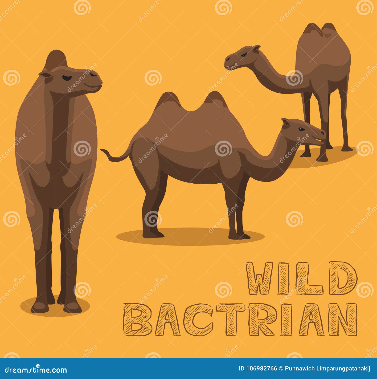 Camel Wild Bactrian Cartoon Vector Illustration Stock Vector ...