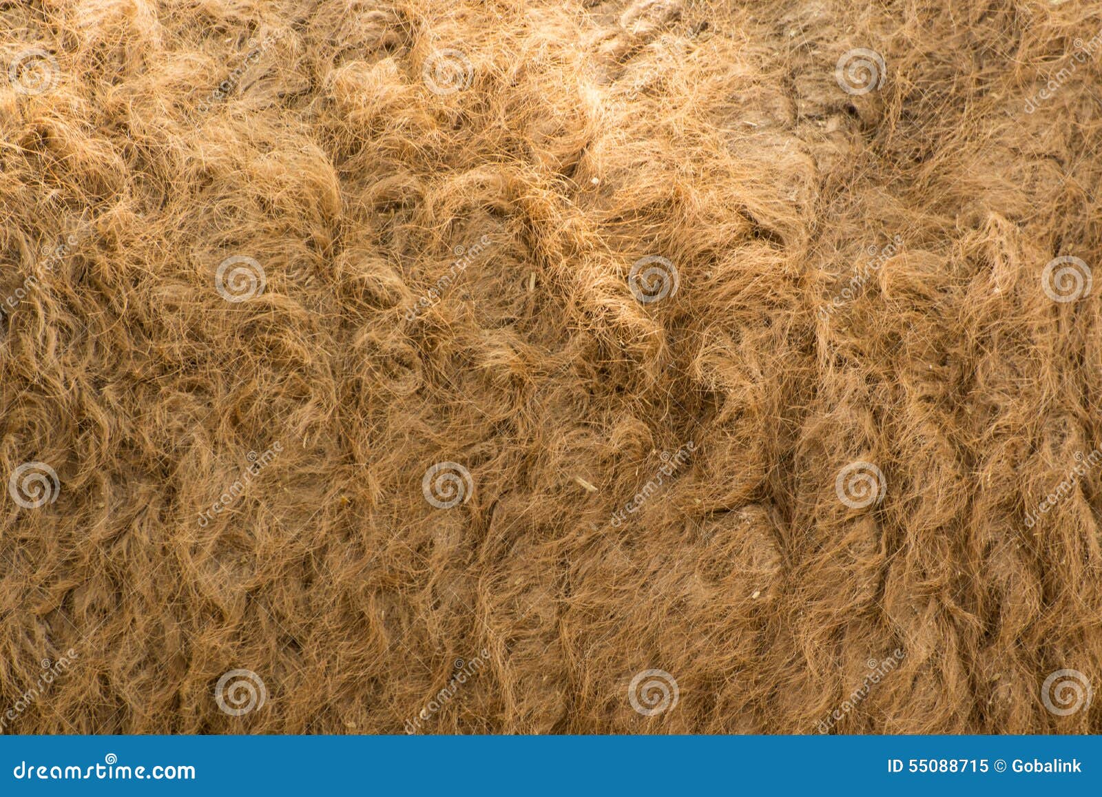 Camel wool stock image. Image of brown, wool, carpet - 55088715