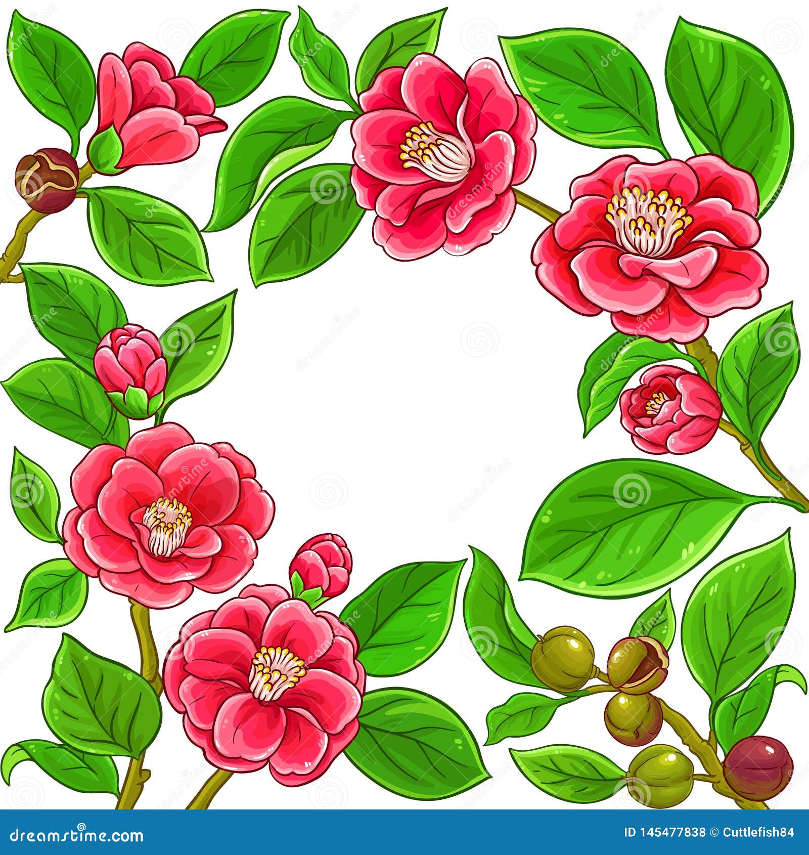 Camellia vector frame stock vector. Illustration of nature - 145477838