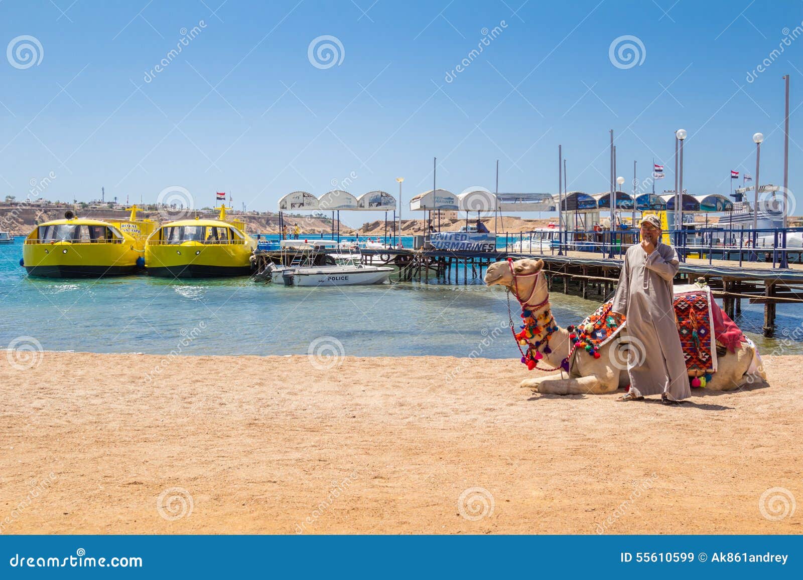 Camello Con Un Ganadero En La Playa Imagen de archivo editorial ...