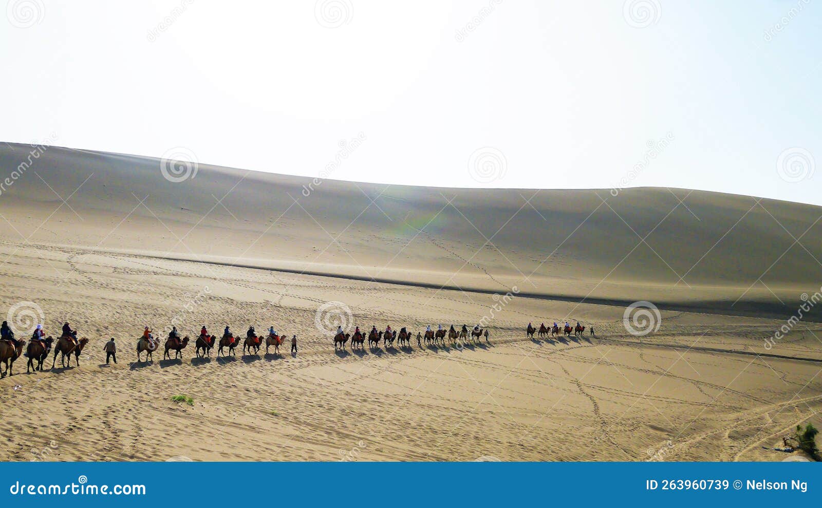 Camels As a Main Form of Transportation in Desert Stock Image - Image ...