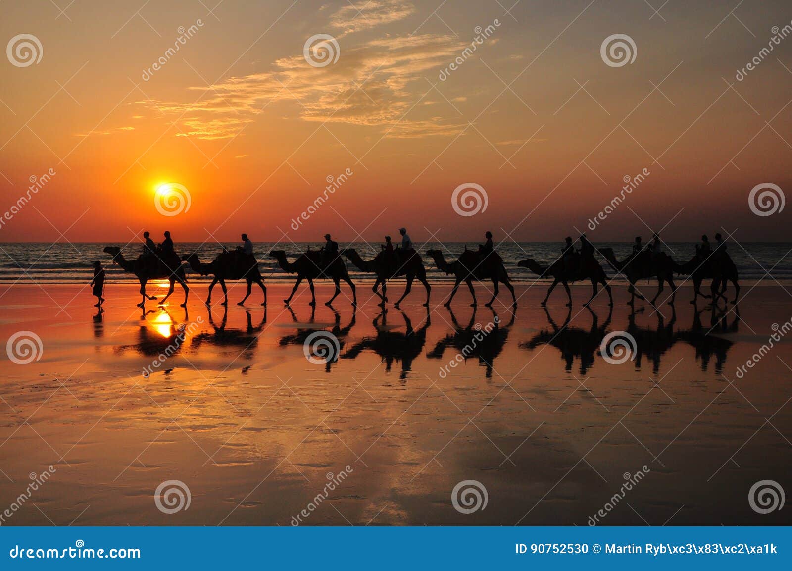 Red Camels Royalty-Free Stock Photo | CartoonDealer.com #29278713