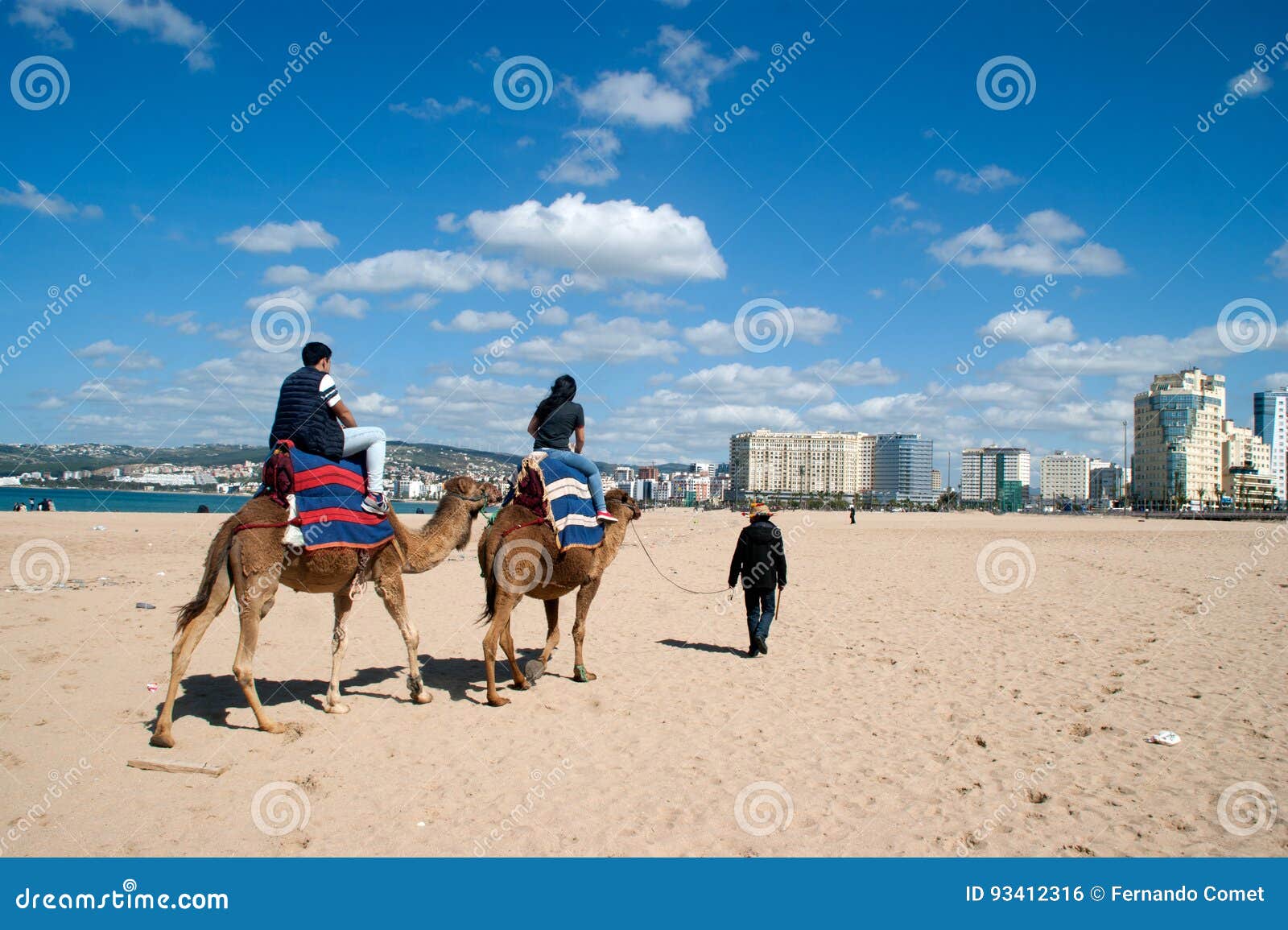 Camels in the Beach of Tangier, Morocco Editorial Photo - Image of ...