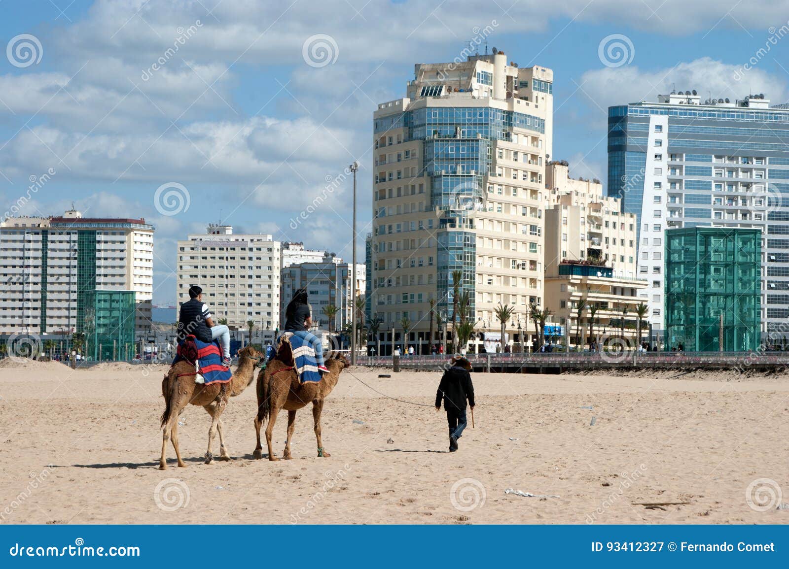 Camels in the Beach of Tangier, Morocco Editorial Photography - Image ...