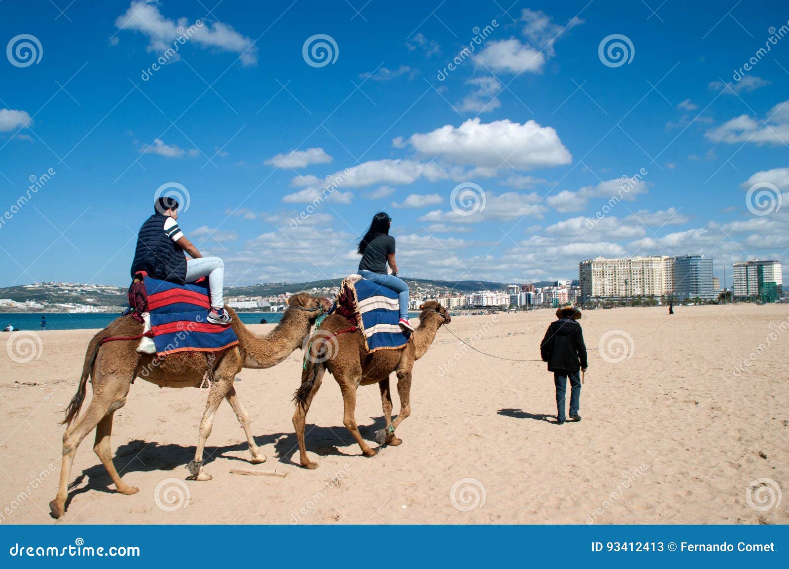 Camels in the Beach of Tangier, Morocco Editorial Stock Photo - Image ...