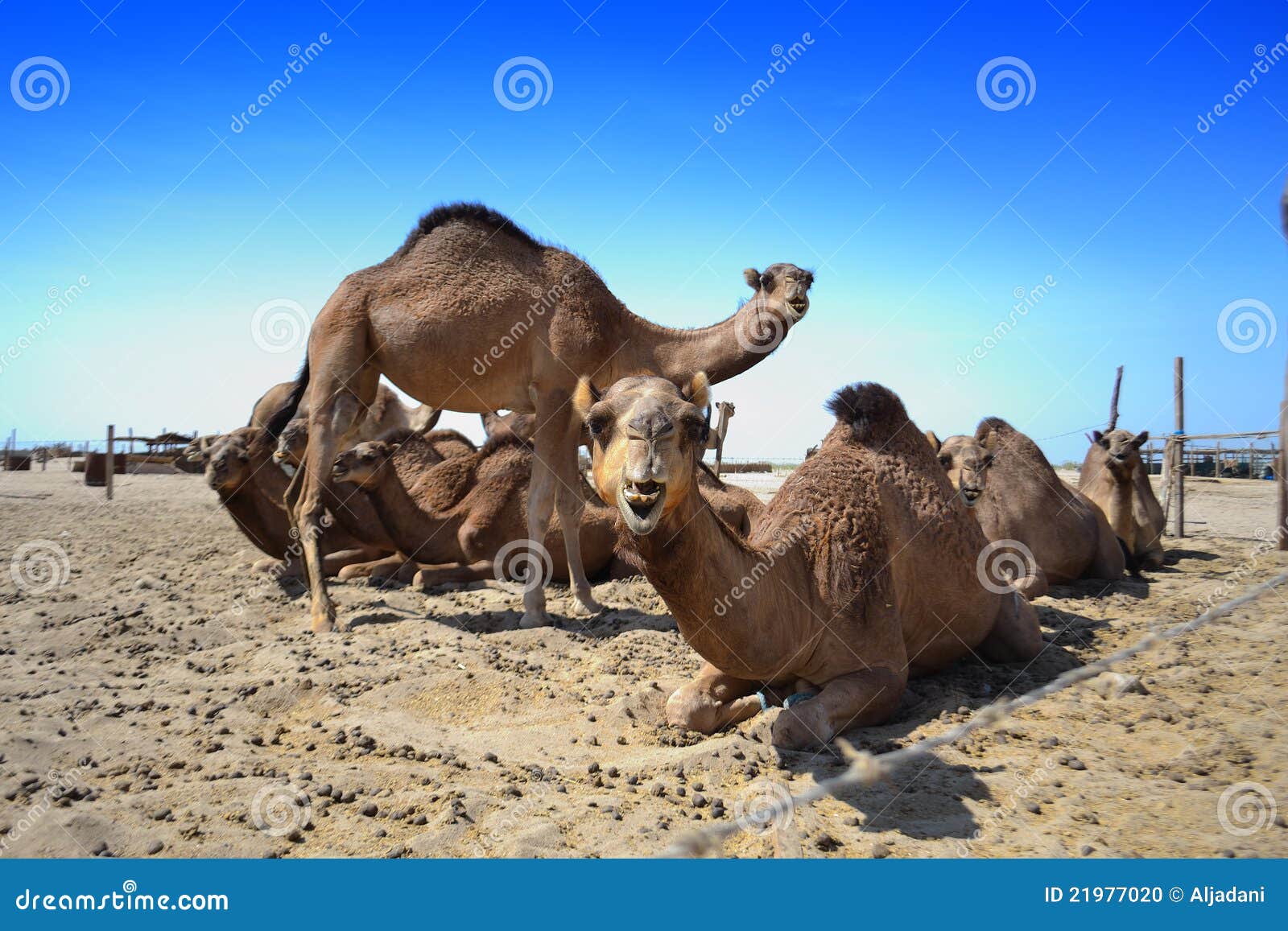 Old City In Jeddah, Saudi Arabia Known As Historical Jeddah. Old And ...