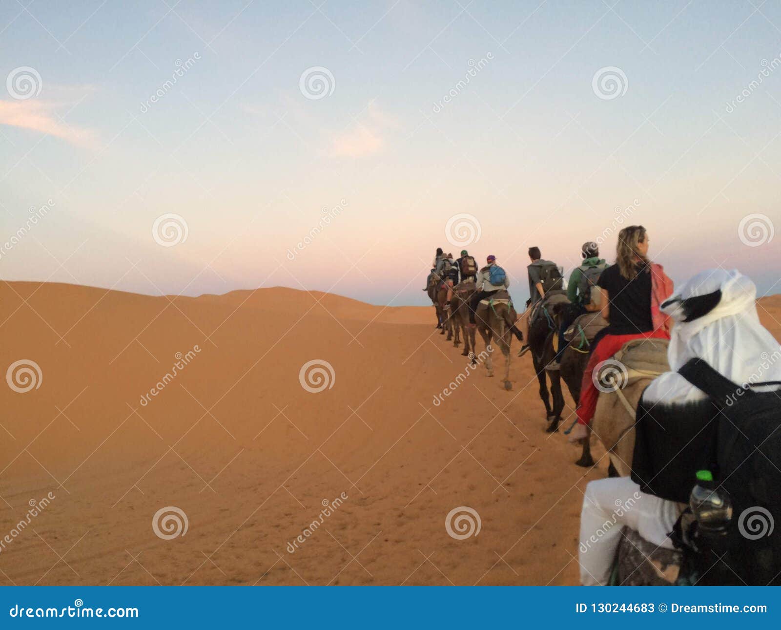 Camels Riding into the Sunset Editorial Stock Photo - Image of dubai ...