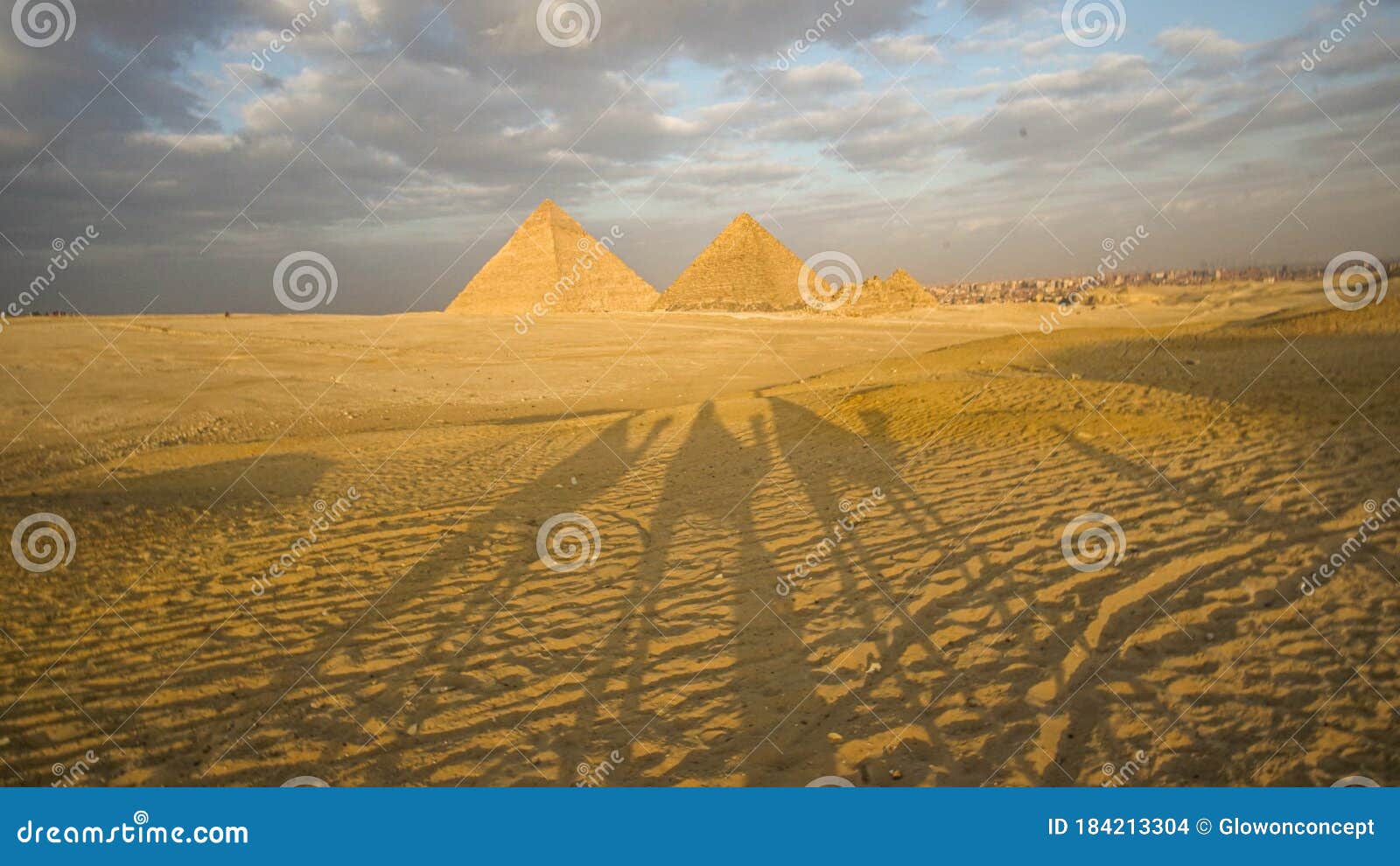 Camels Shadow Over Giza Pyramids View in Cairo Egypt Stock Photo ...