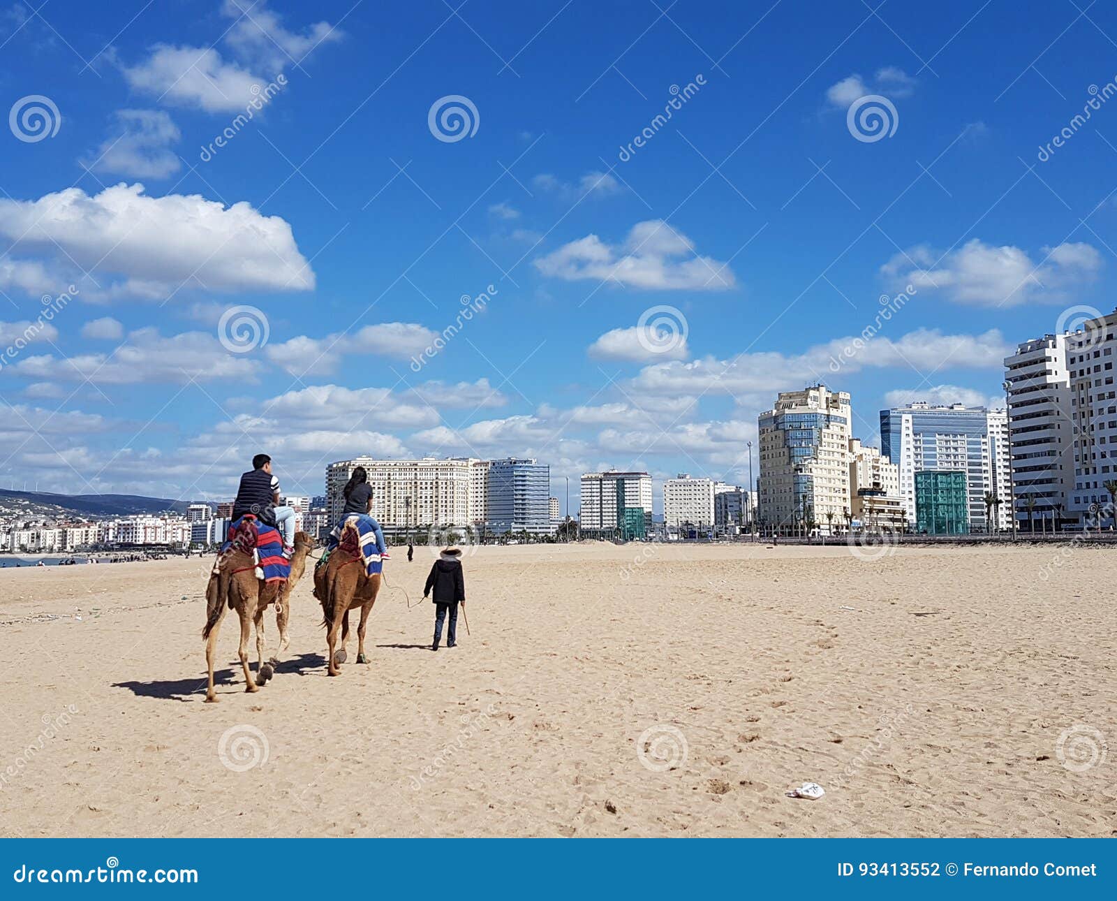 Camels in tangier beach editorial photography. Image of sandy - 93413552