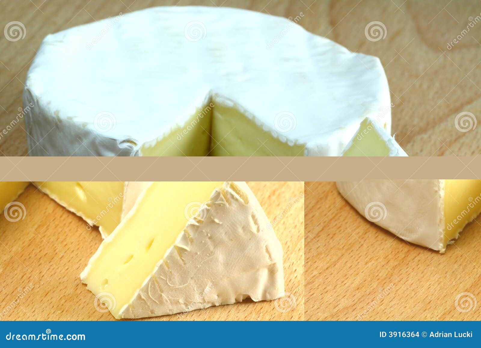 Camembert stock photo. Image of nourishing, fresh, emental - 3916364