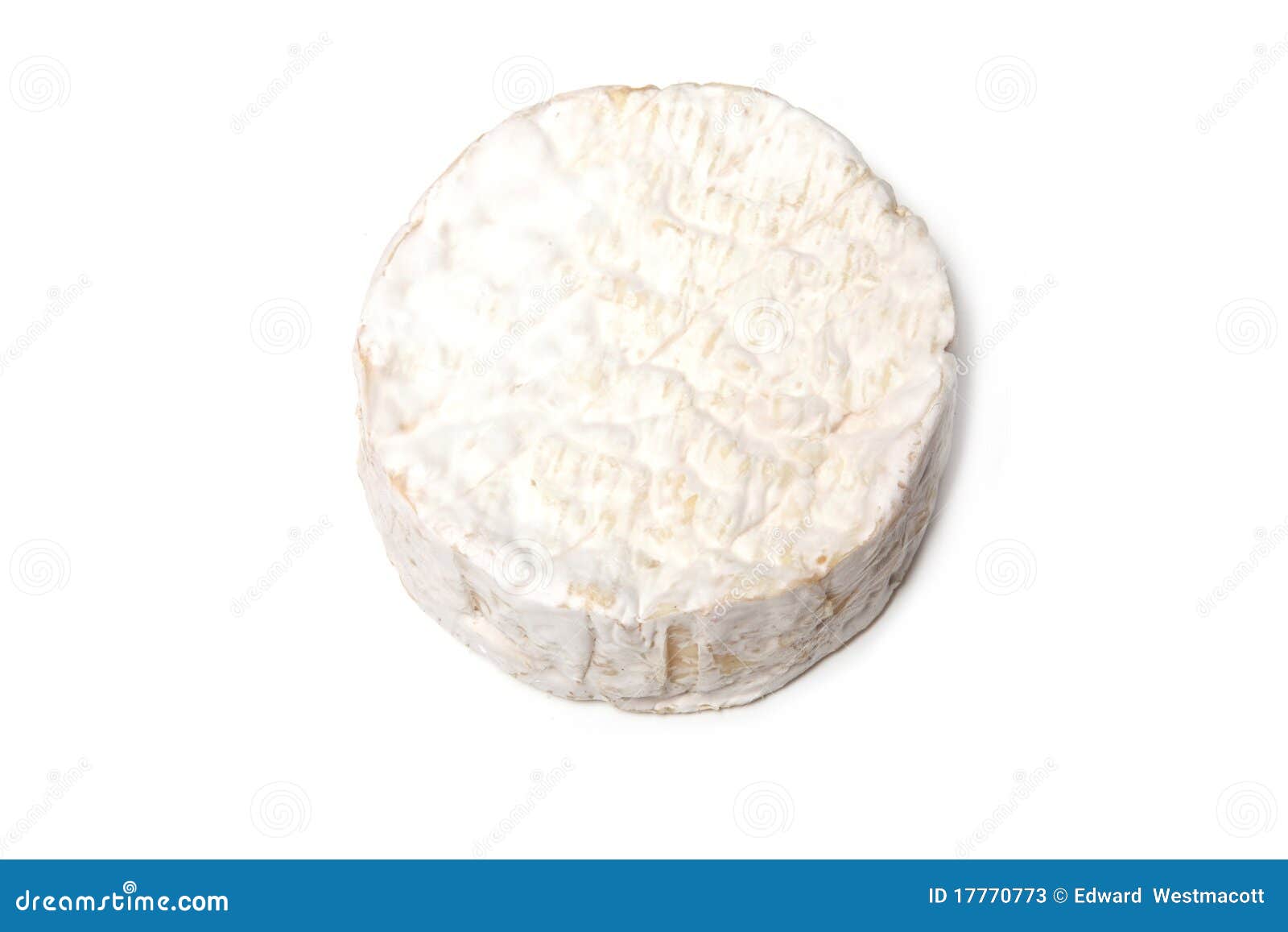 Camembert Cheese stock image. Image of creamy, camembert - 17770773
