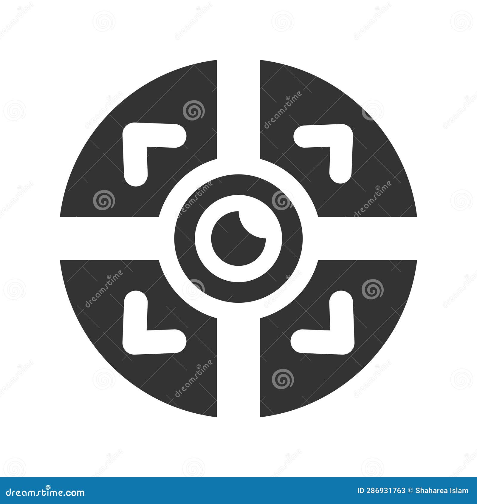 Camera controls icon stock vector. Illustration of camera - 286931763