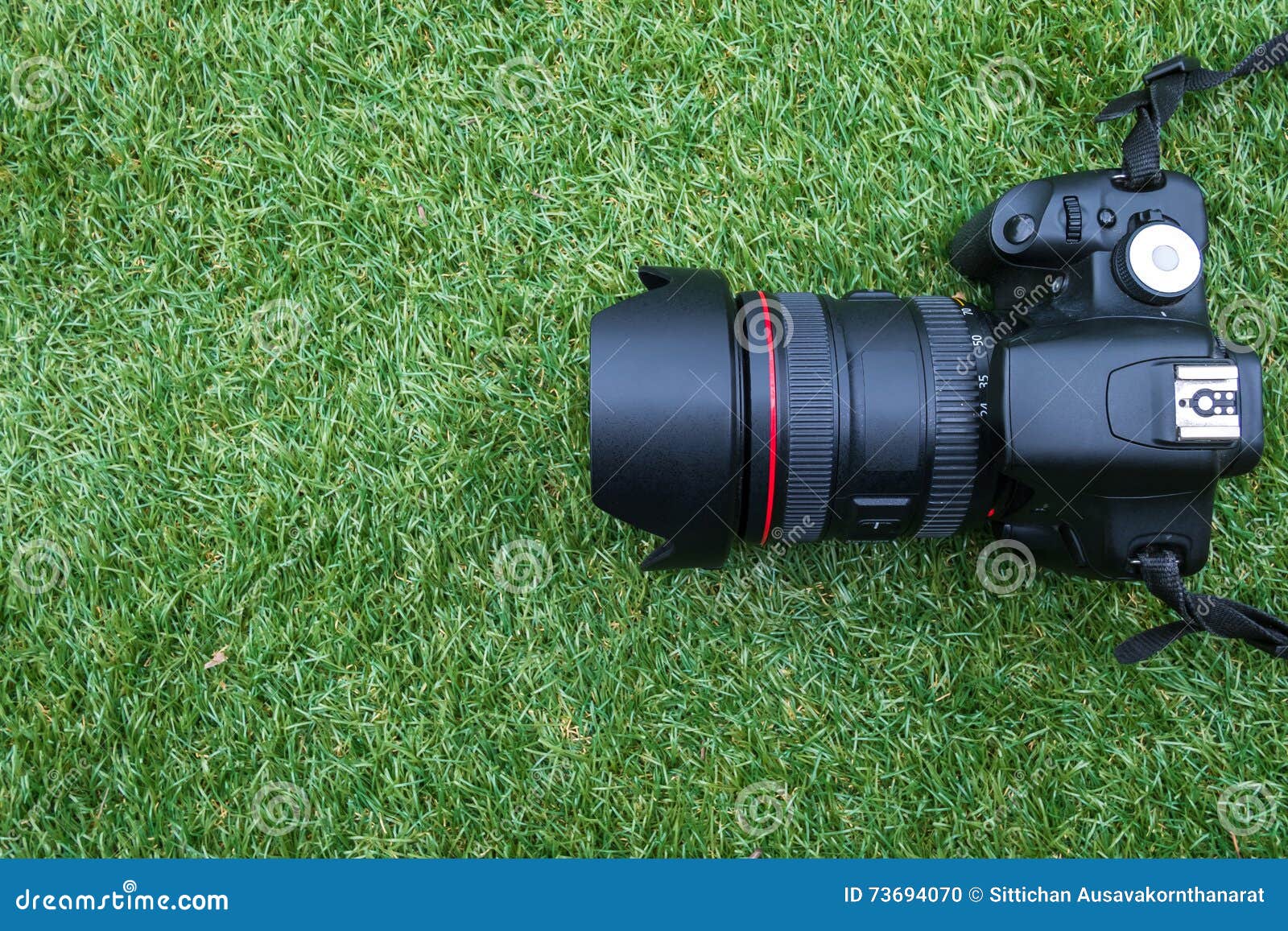 Camera on a Grass Background Stock Photo - Image of view, dslr: 73694070