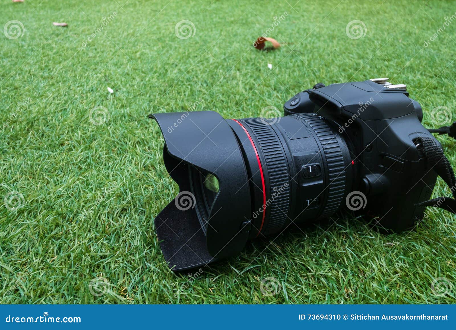 Camera on a Grass Background Stock Photo - Image of green, technology ...