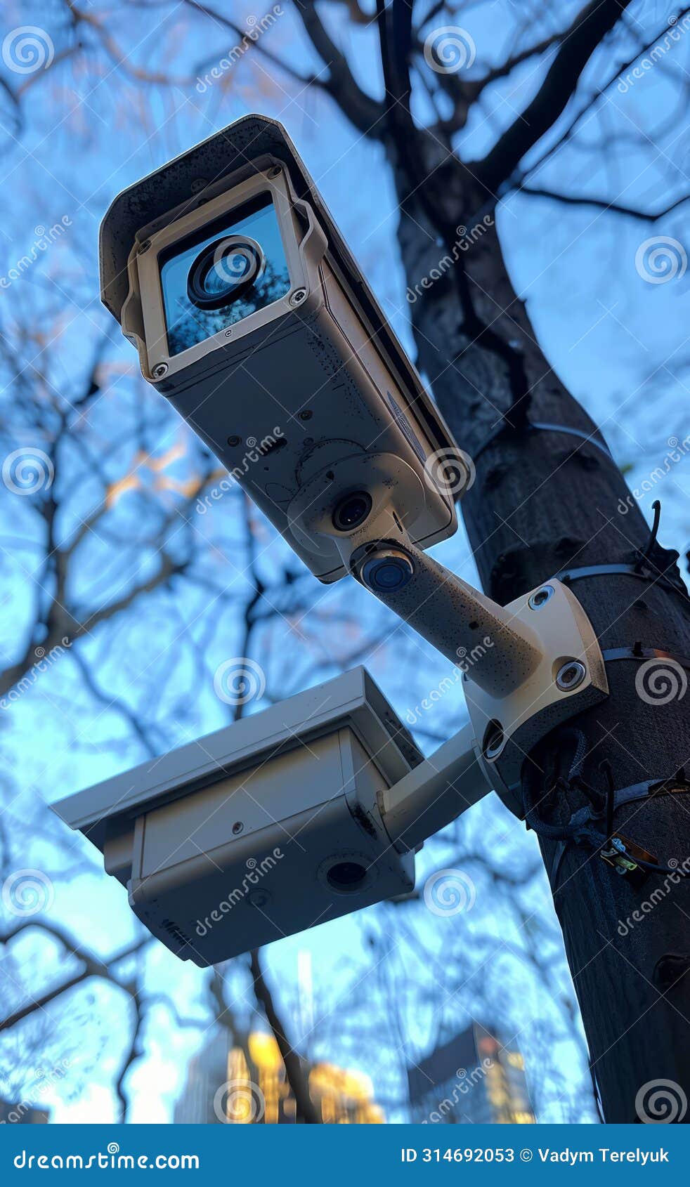 A Camera is Mounted on a Tree Branch Stock Image - Image of equipment ...