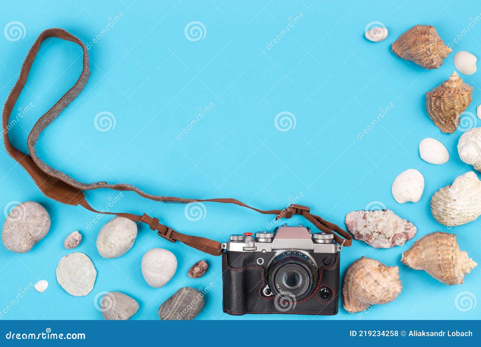 Camera and Seashells on a Blue Background.Background for the Traveler ...