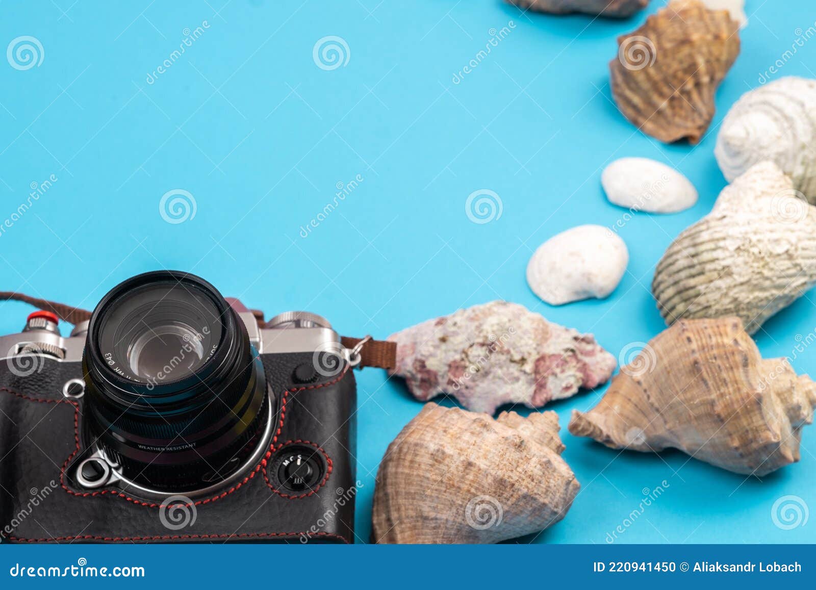 Camera and Seashells on a Blue Background.Background for the Traveler ...