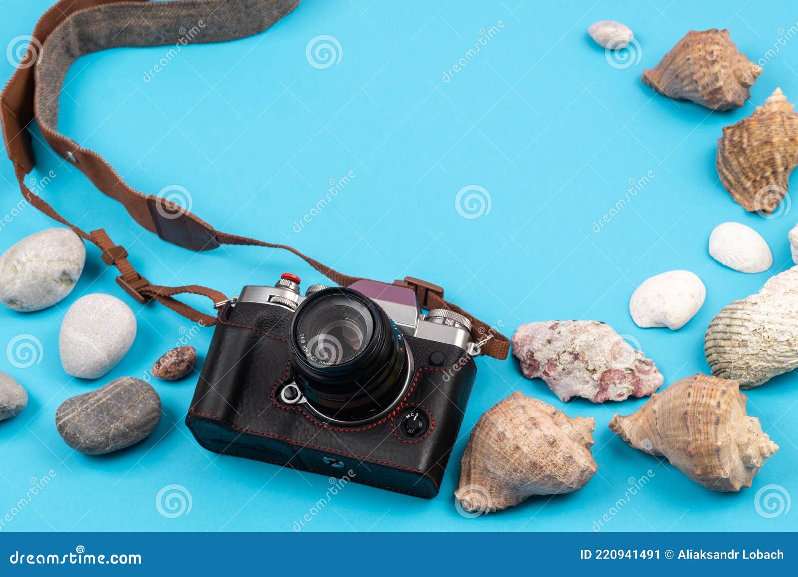 Camera and Seashells on a Blue Background.Background for the Traveler ...