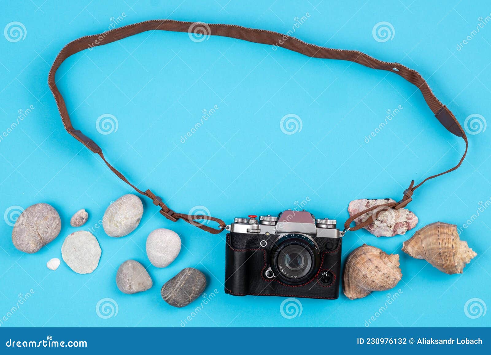 Camera and Seashells on a Blue Background.Background for the Traveler ...