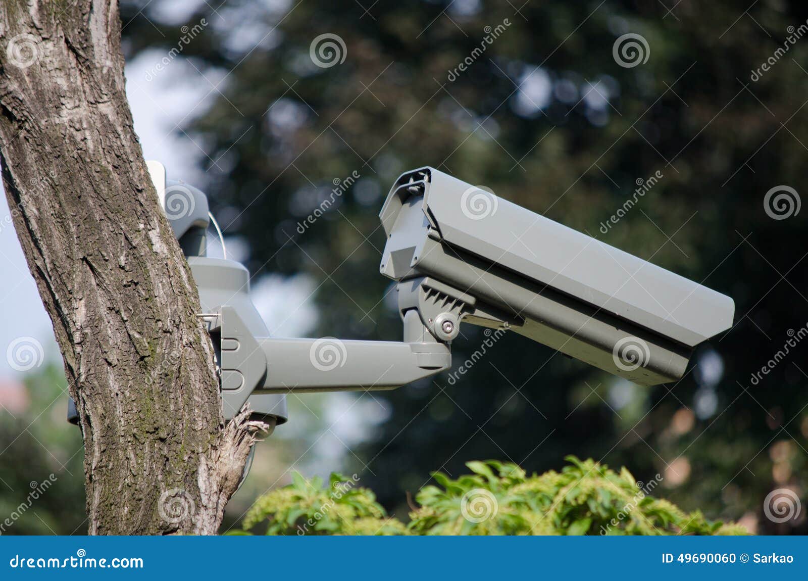 Camera stock photo. Image of outdoor, tree, video, guard - 49690060