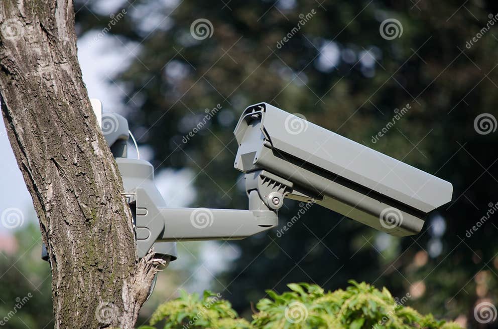 Camera stock photo. Image of outdoor, tree, video, guard - 49690060
