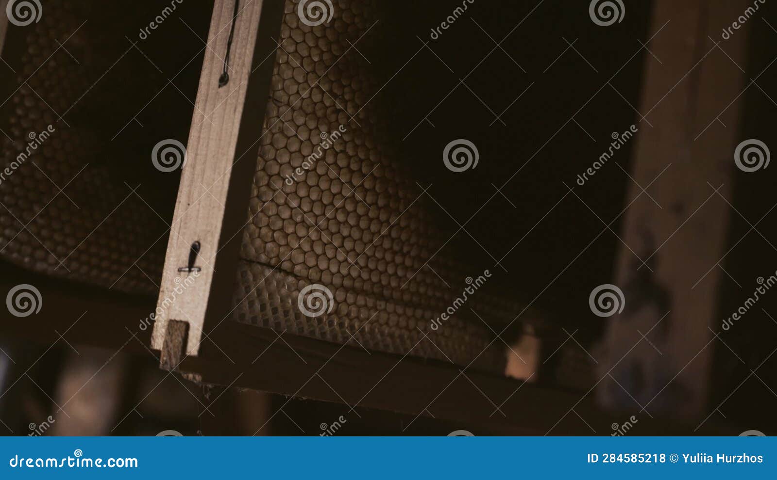 Camera Slides Over on Empty Wax Honeycombs. Close Up of Honeycomb Frame ...