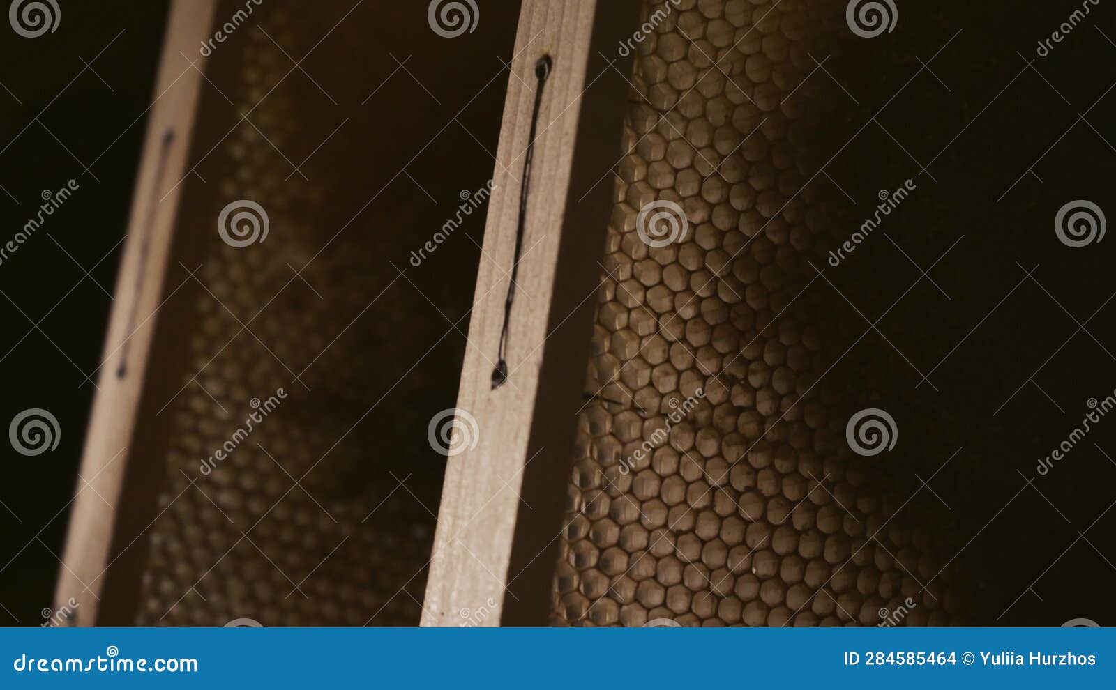 Camera Slides Over on Empty Wax Honeycombs. Close Up of Honeycomb Frame ...