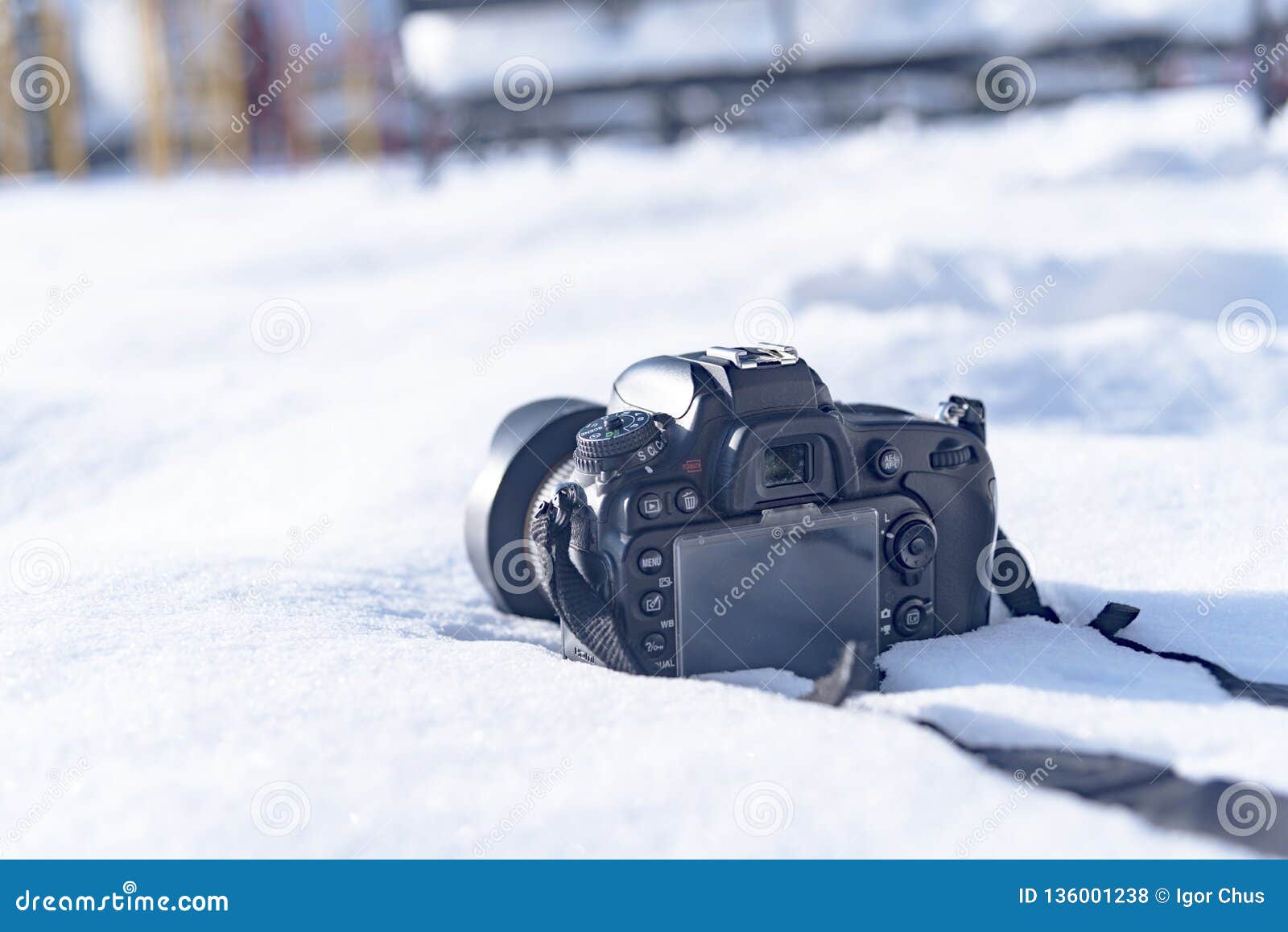 Camera in the Snow, Winter Photo Session 2019 Stock Photo - Image of ...