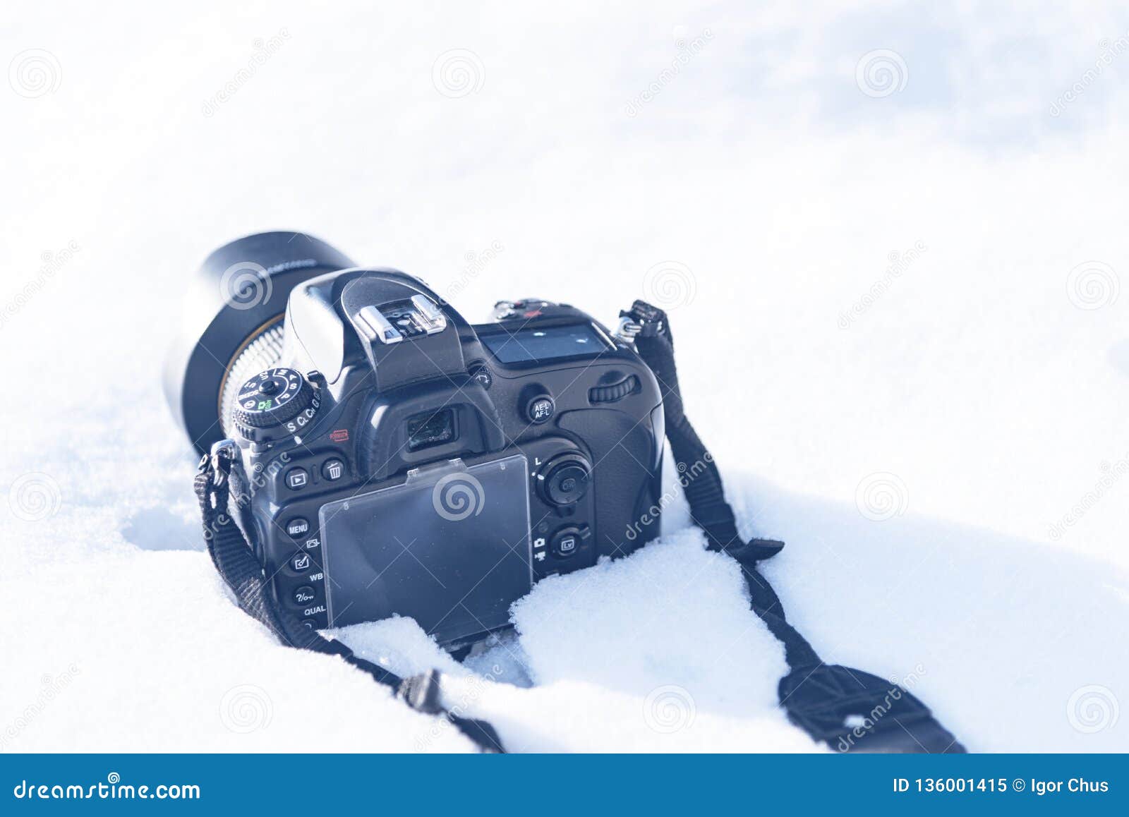 Camera in the Snow, Winter Photo Session 2019 Stock Image - Image of ...