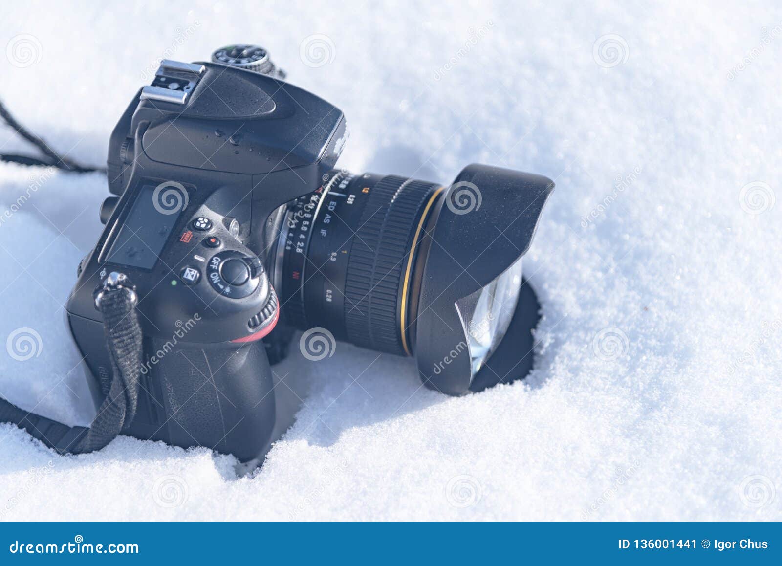 Camera in the Snow, Winter Photo Session 2019 Stock Image - Image of ...